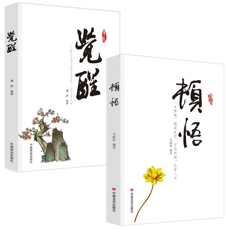 顿悟+觉醒 epub格式下载